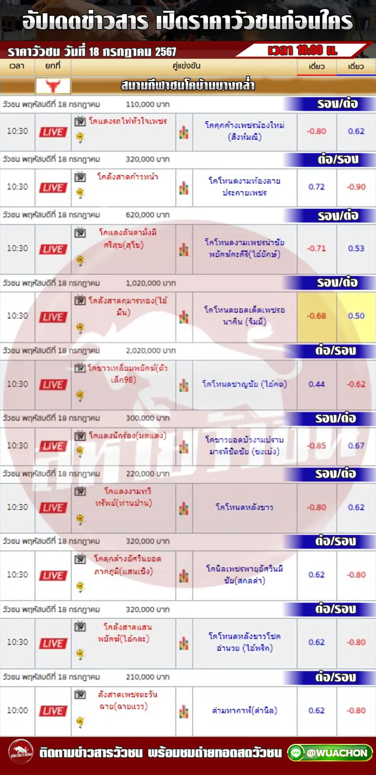 ราคาวัวชน 18 กรกฎาคม 2567