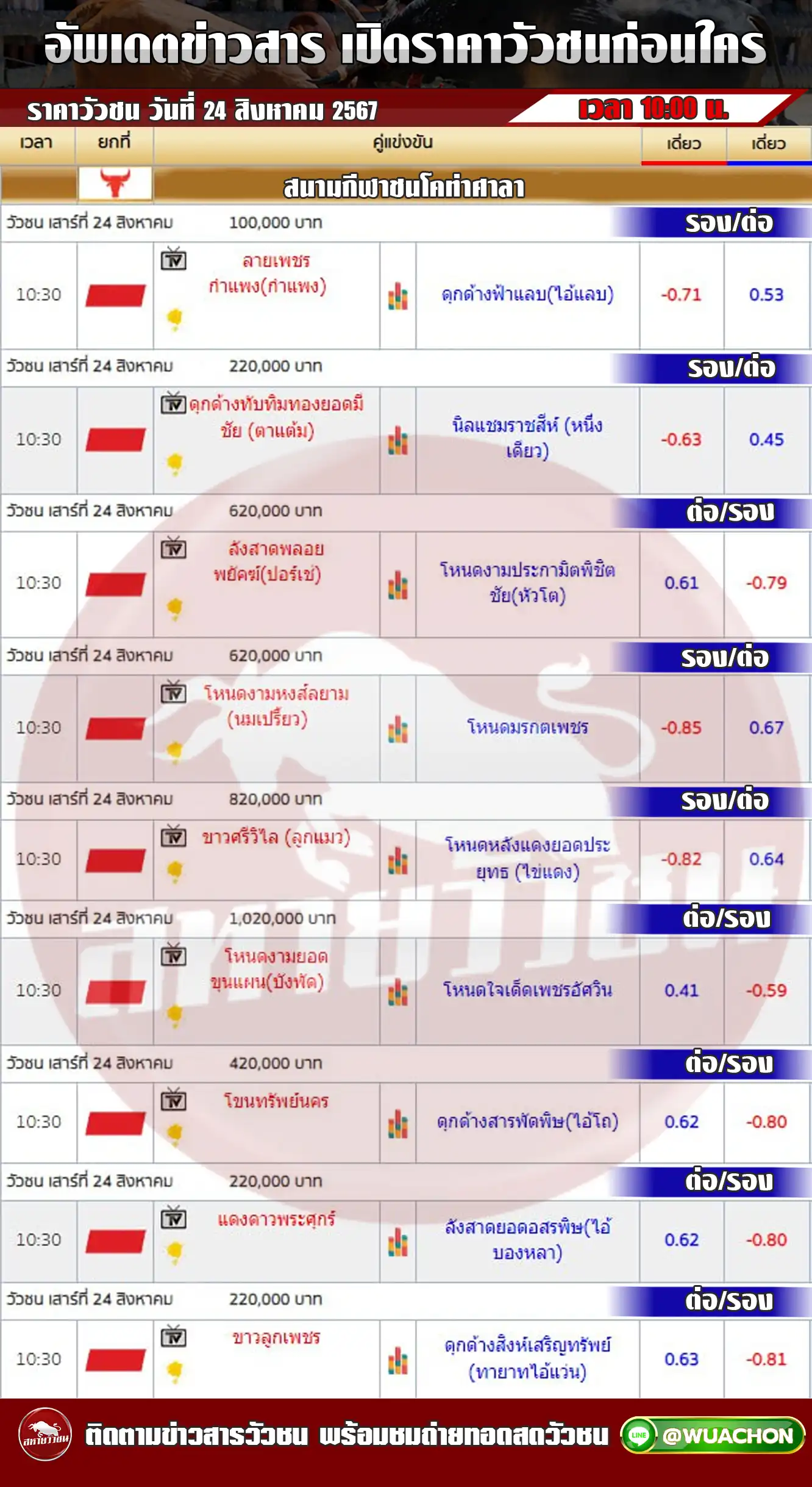 ราคาวัวชน 24 สิงหาคม 2567
