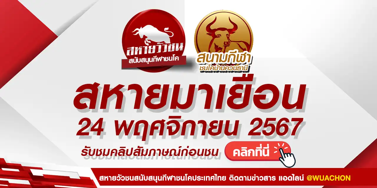 เยี่ยมคอกวัวชน 24 พฤศจิกายน 2567