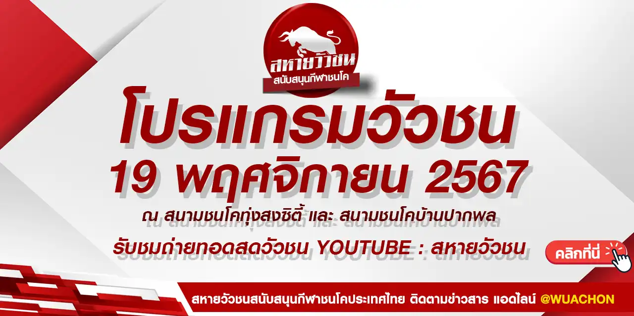โปรแกรมวัวชน 19 พฤศจิกายน 2567