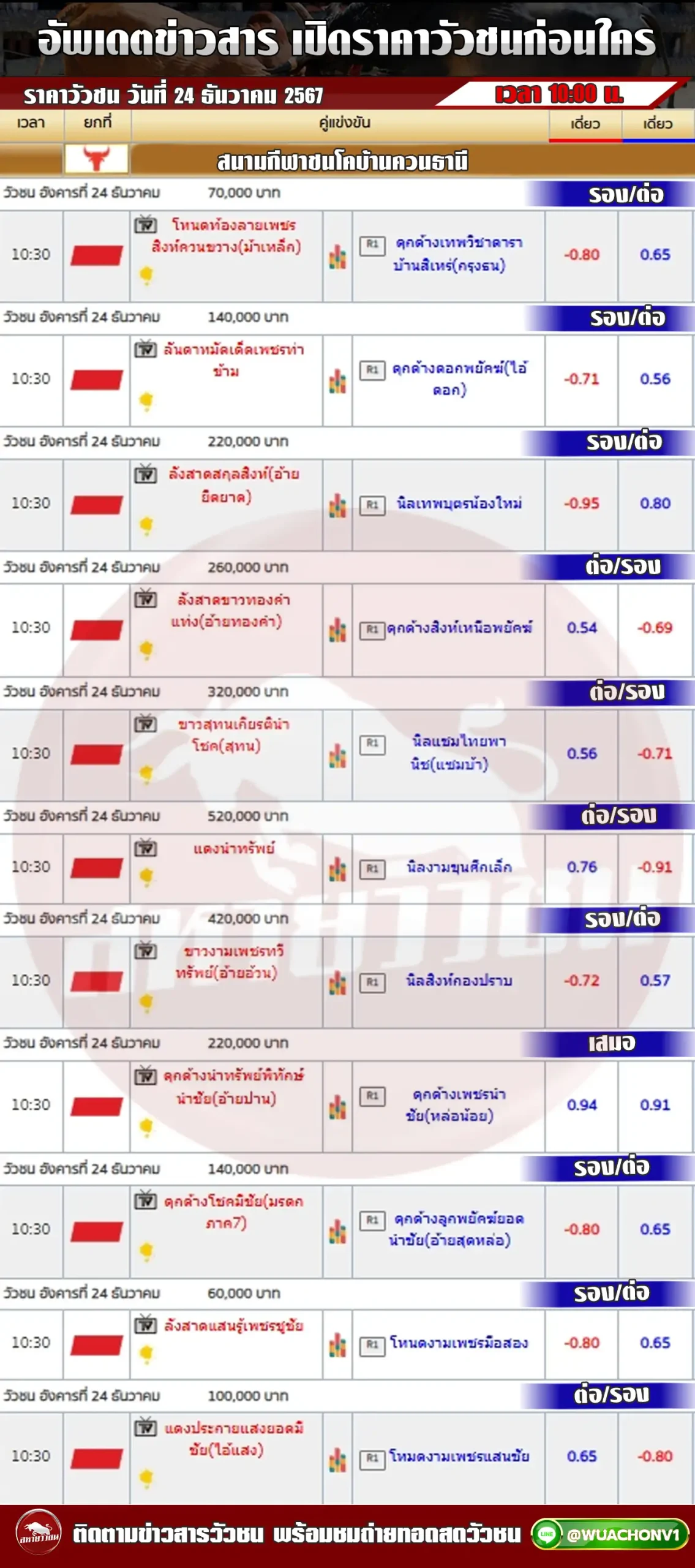 ราคาวัวชน 24 ธันวาคม 2567