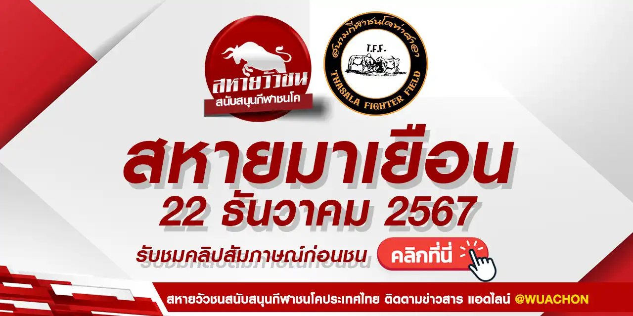 สัมภาษณ์ก่อนชน 22 ธันวาคม 2567